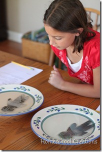 Cohesion and Surface Tension {Science Sunday}